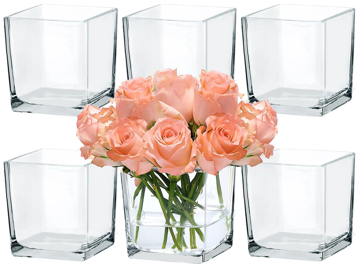 CONNOO 6 Pack Square Glass Vase 5" x 5" x 5", Clear Bulk Flower Vases